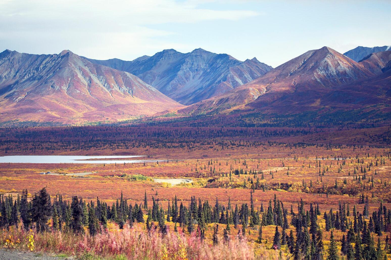 Guide: Alaska - Vagabond