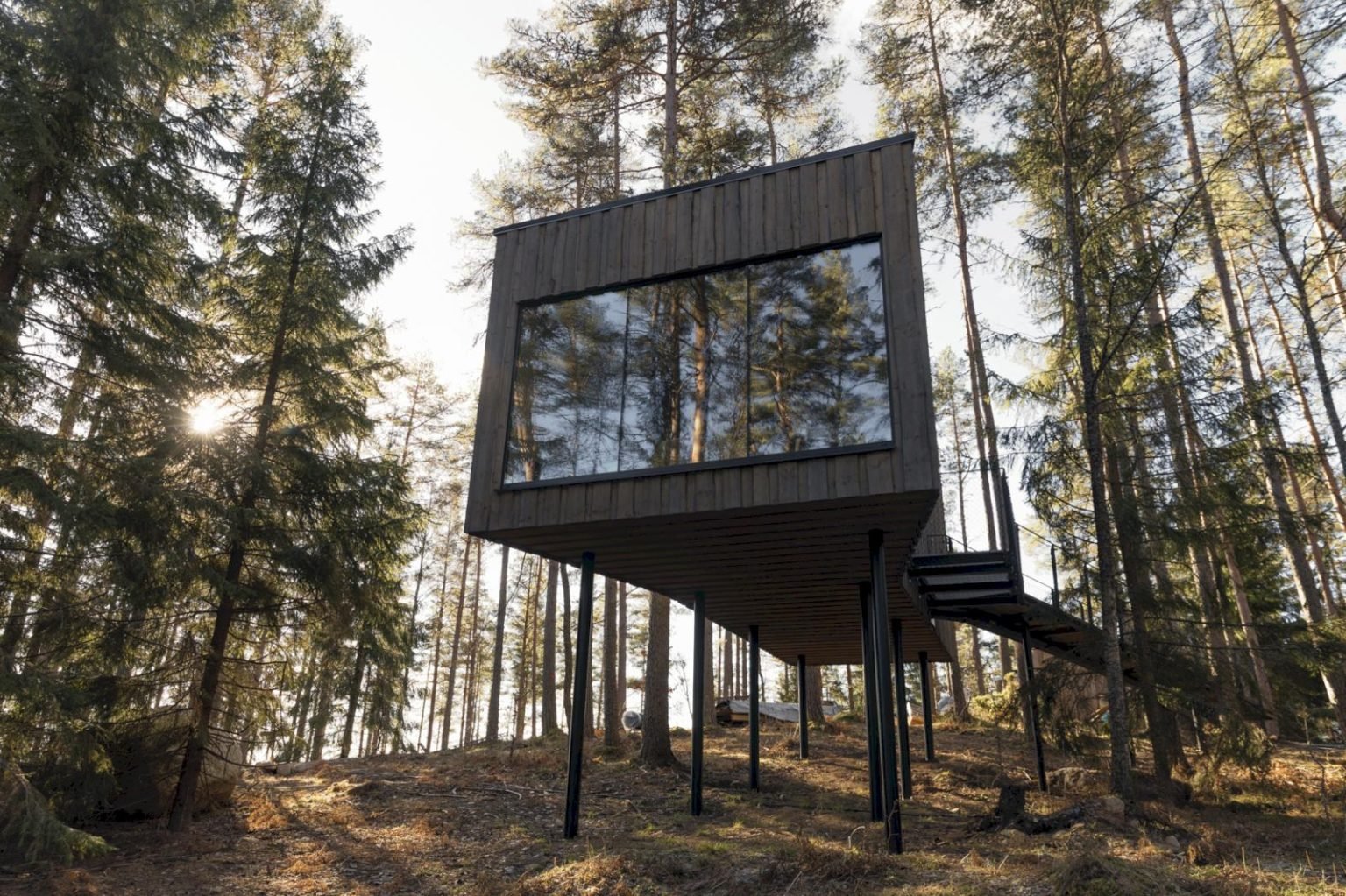 5 häftiga trädhotell i Sverige – för en mysig weekend - Vagabond