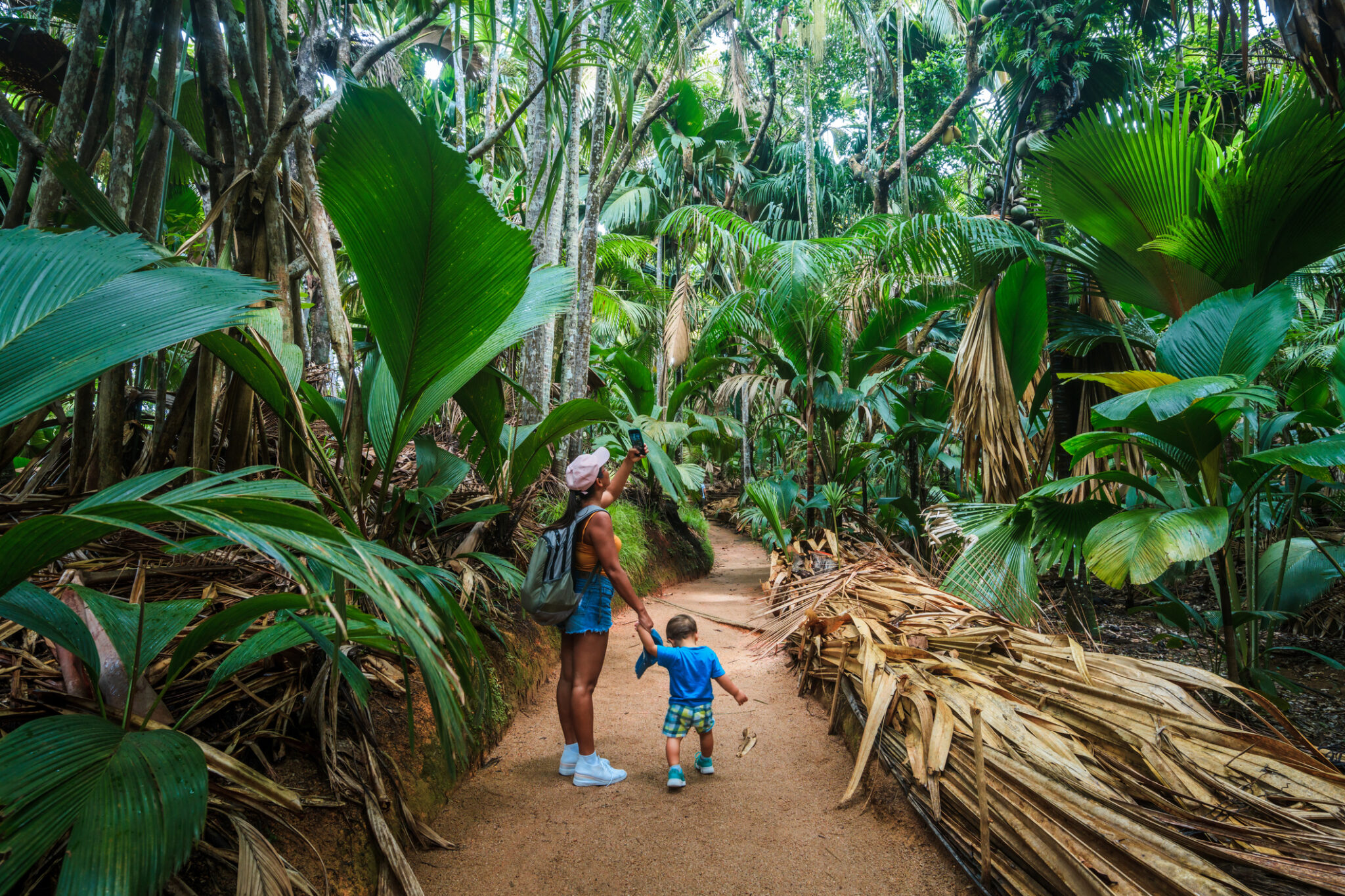 4 öar på Seychellerna med sagolika stränder - Vagabond