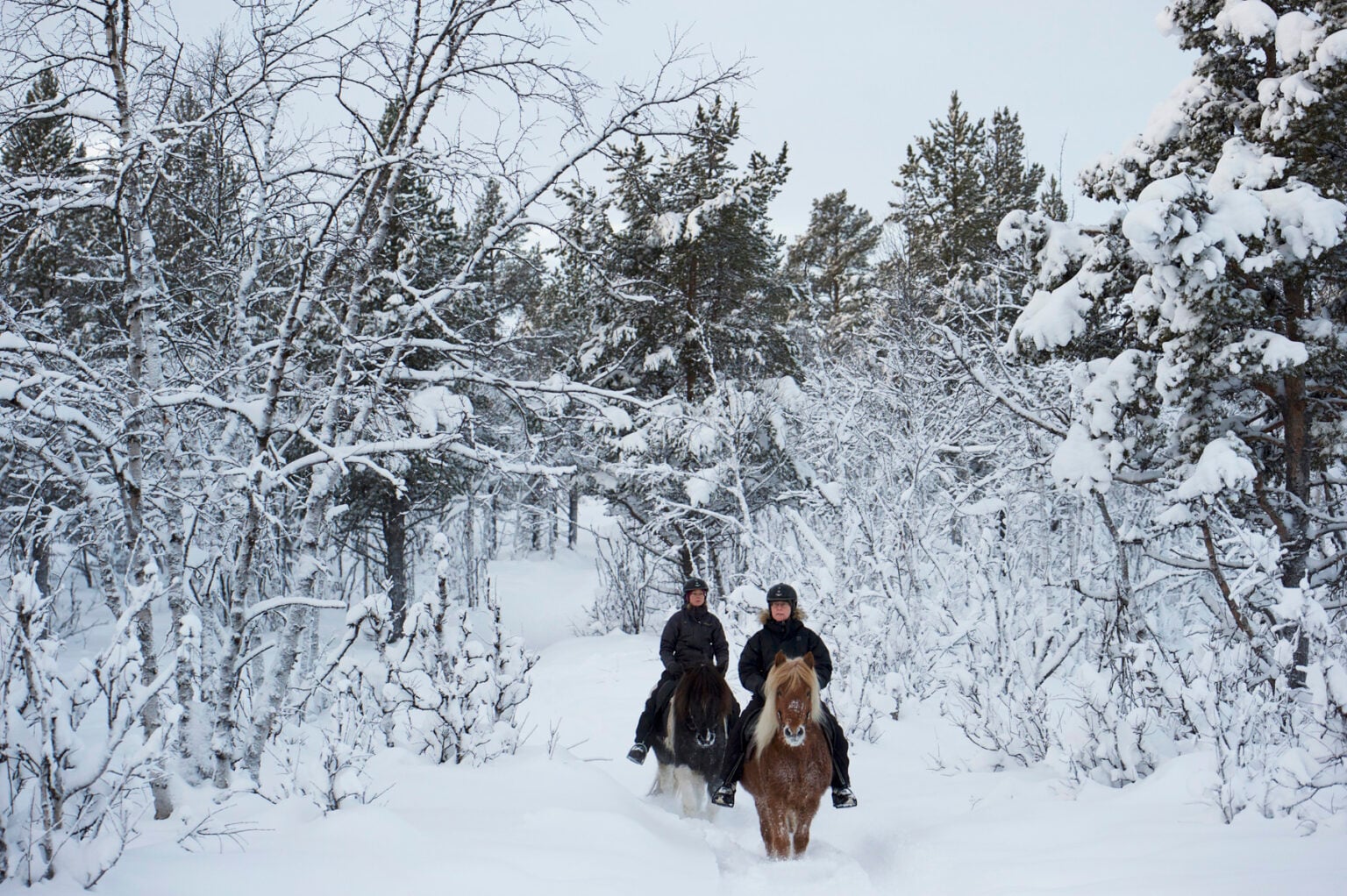 15 vinteräventyr i Sverige – stor guide - Vagabond