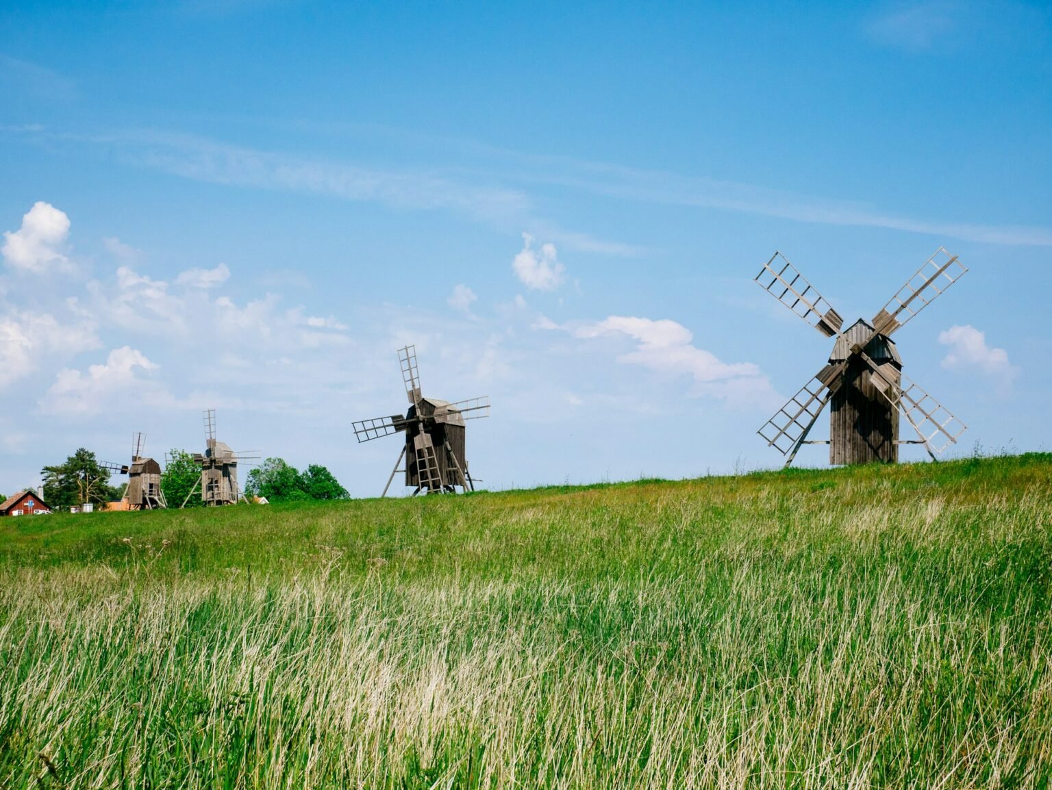 12 höjdpunkter på Öland – experten tipsar - Vagabond