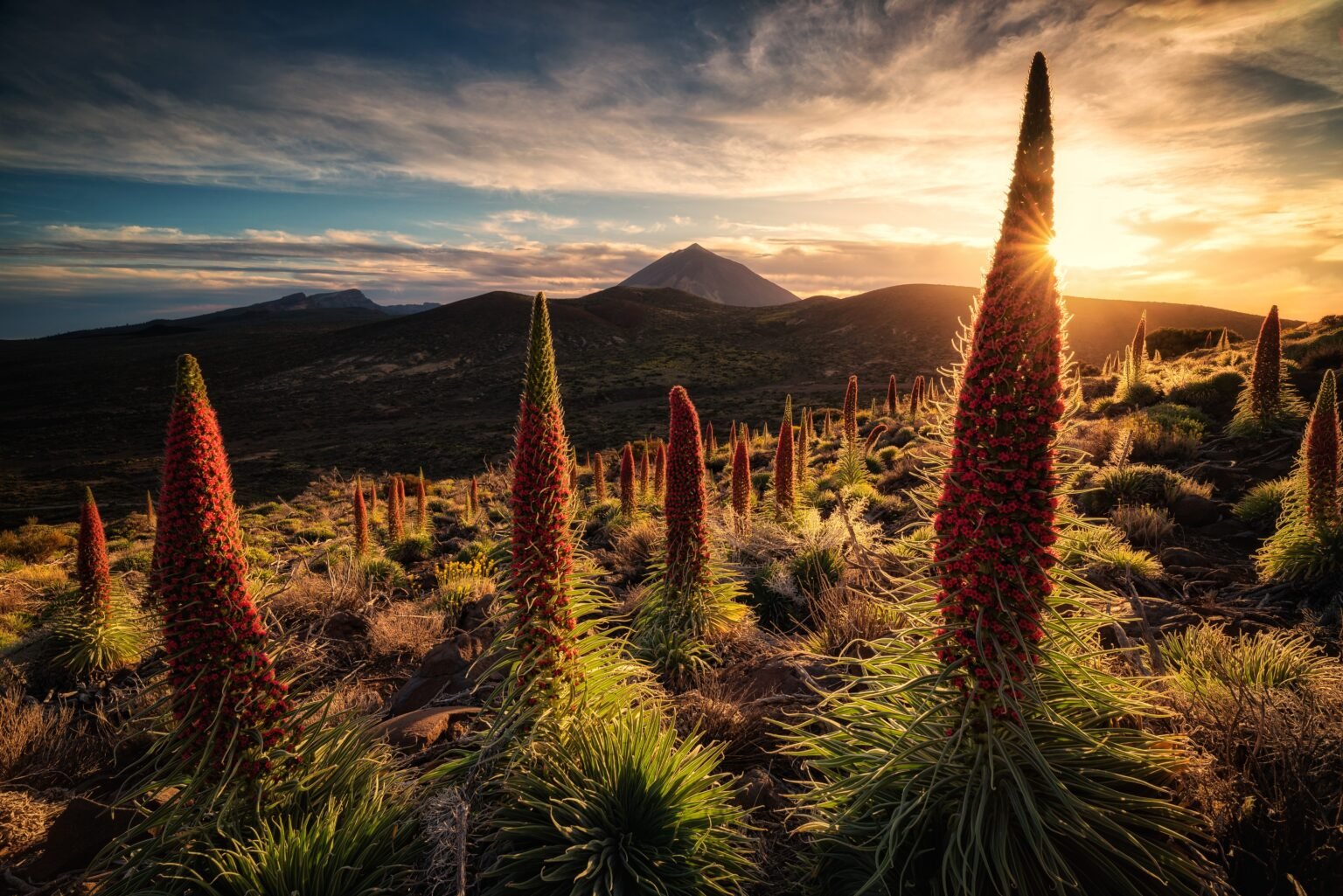 Kalender: Alla röda dagar 2026 – maxa semestern - Vagabond