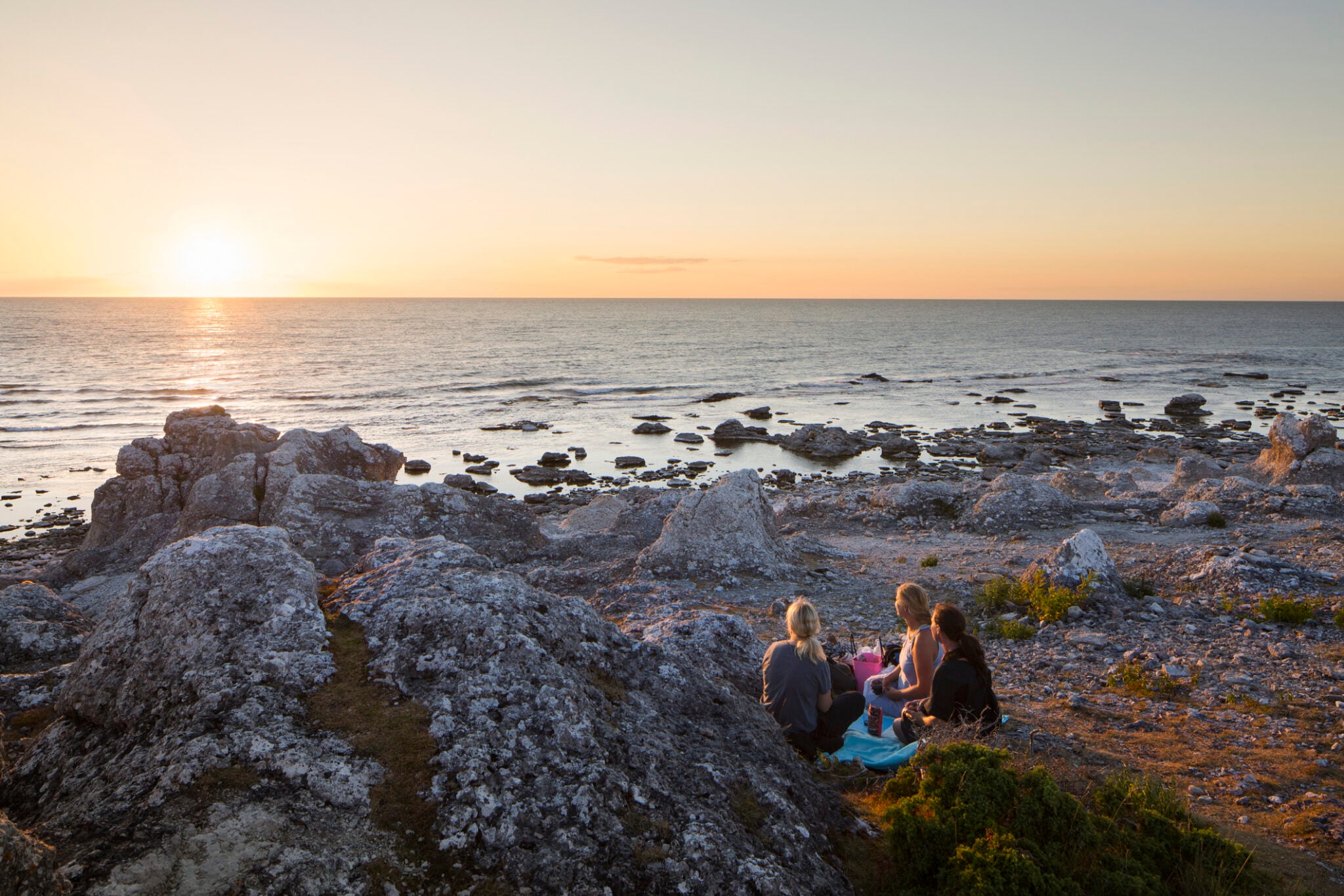 9 otroliga matstopp på Gotland - Vagabond